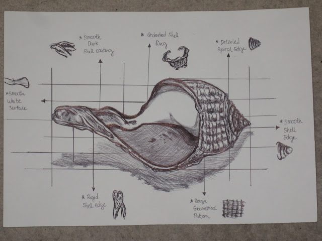 Year Zero Contextual Studies: ~ Detailed Drawing Of A Natural Object