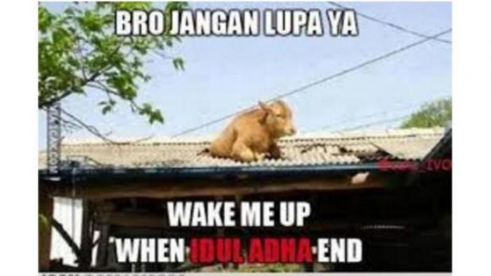 20 Meme 'Pesan Terakhir Kambing & Sapi' Ini Ceriakan Idul Adhamu - baca ...