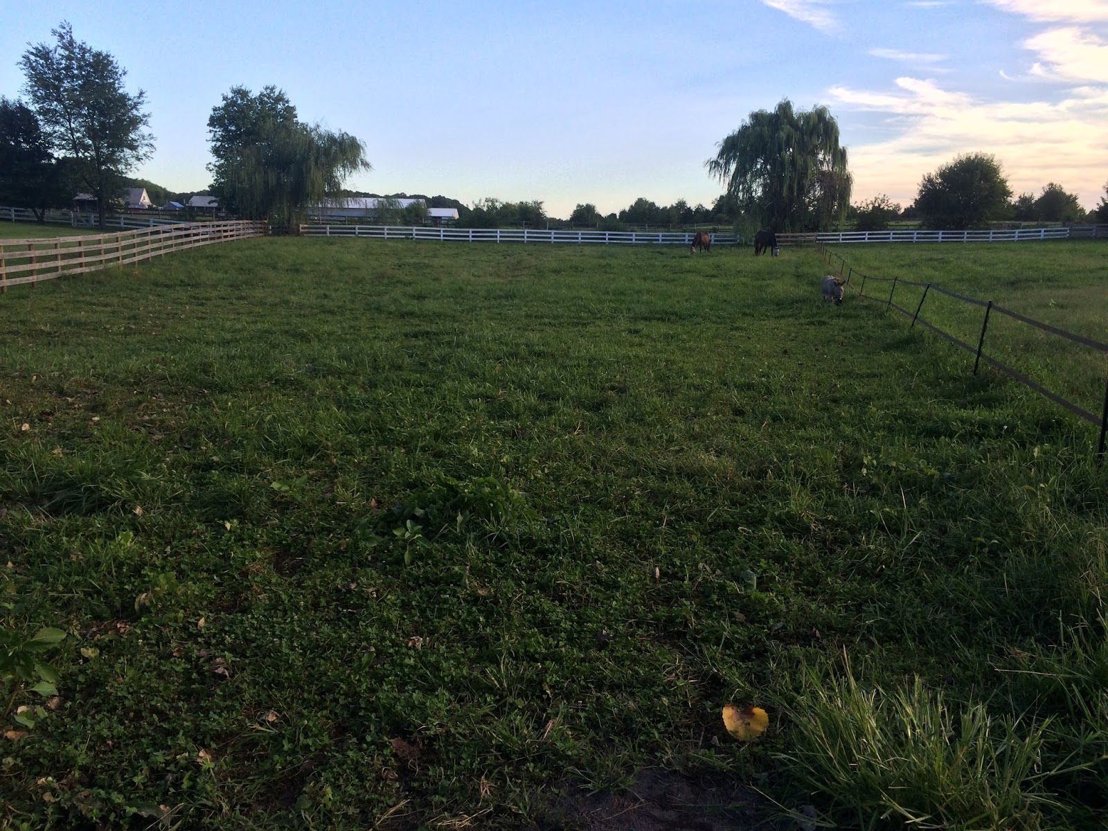 Building & Managing the Small Horse Farm: Rotational Grazing: Schedule ...