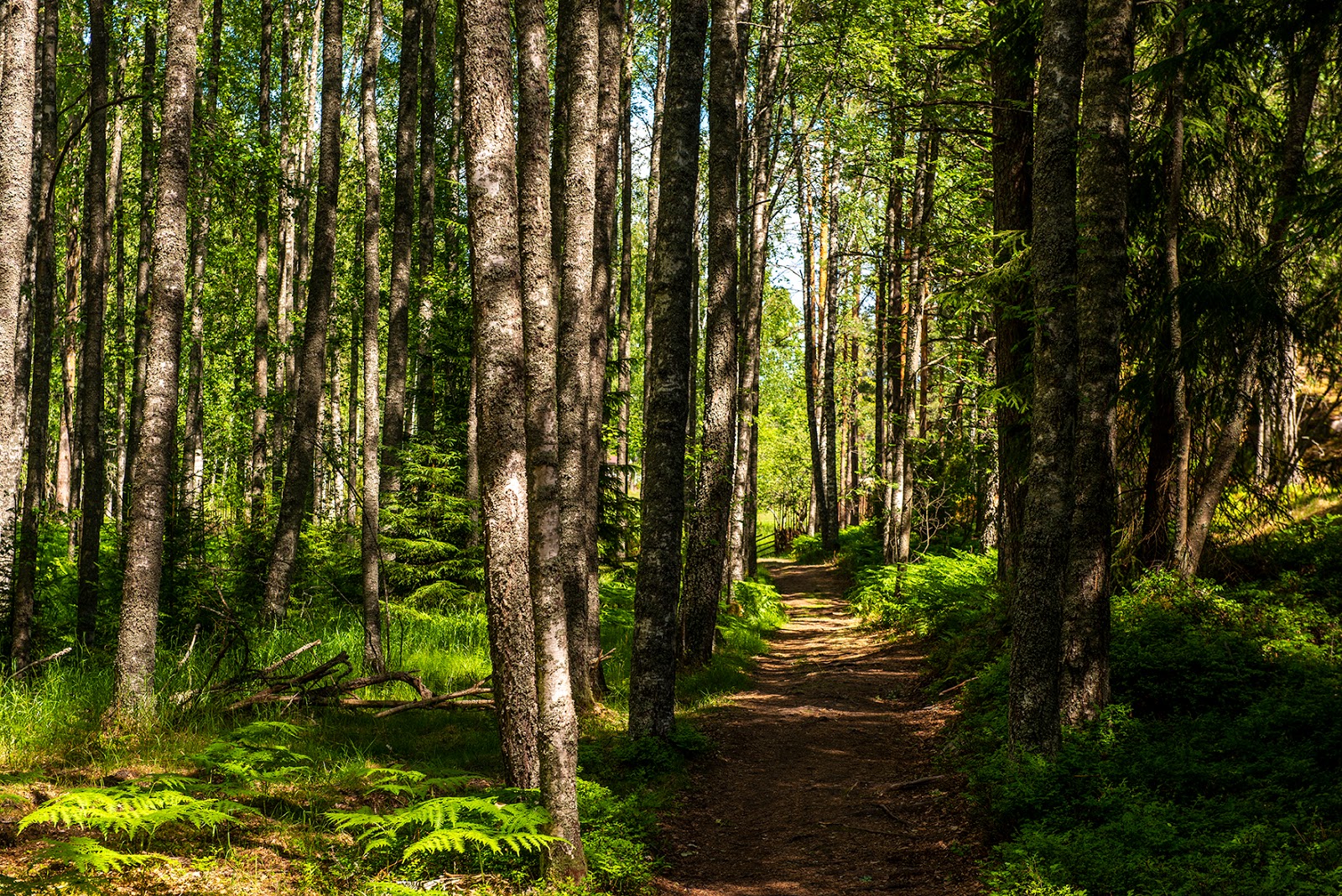 Kuvamerkintöjä: Espoon saaristomuseo Pentala - The Archipelago Museum ...