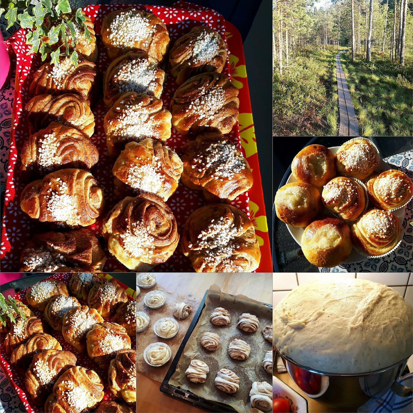 Sourdough cardamon sweet bread (pulla)