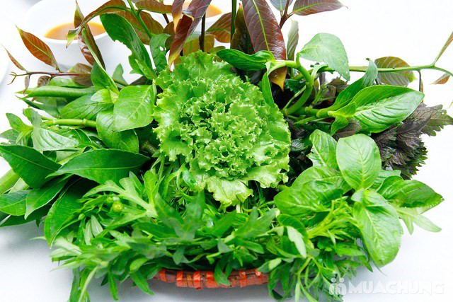 Các loại rau rừng phổ biến nhất hiện nay