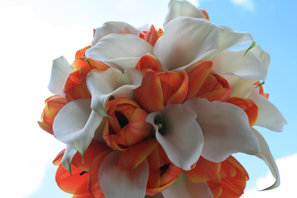 Eau Claire Floral-A Day in the Life