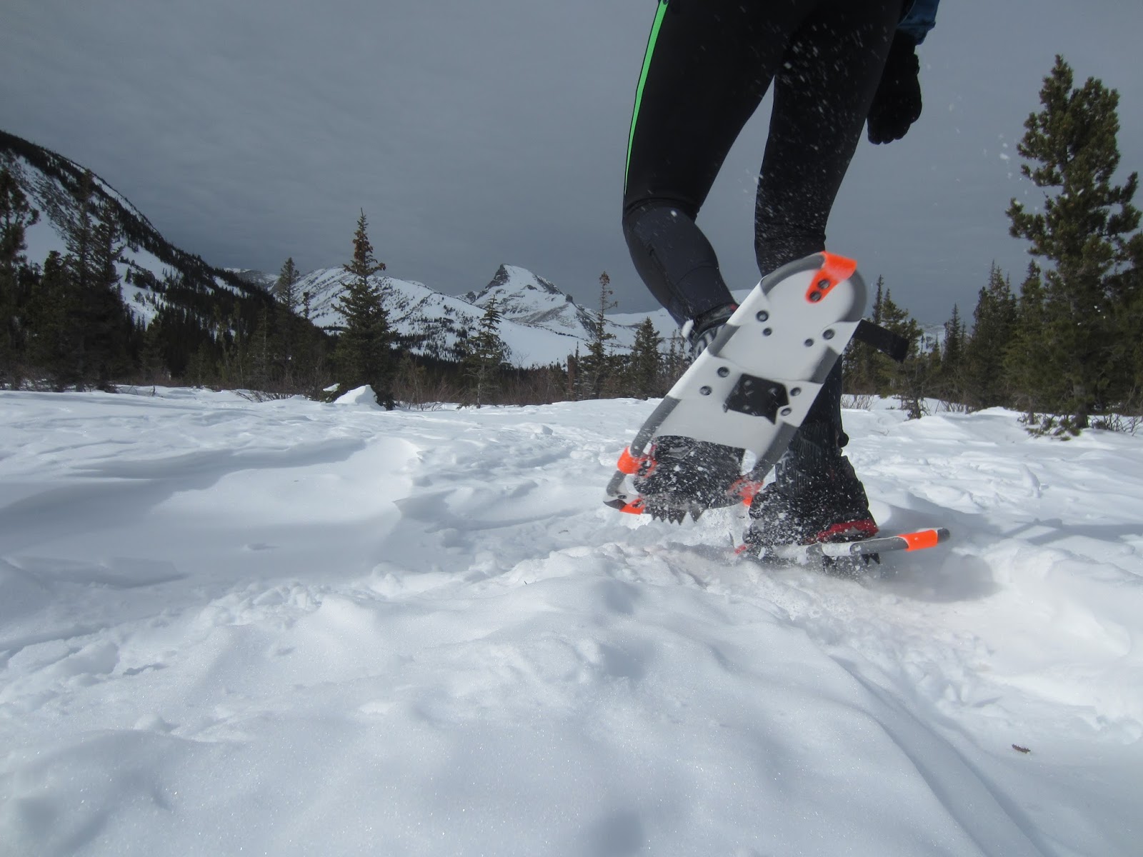 Road Trail Run: Dion 121 Race Snowshoes Review - The Ultimate in ...
