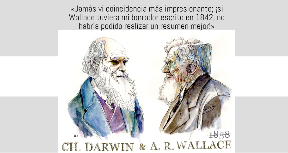 La Carta de Wallace: Alfred Russel Wallace y el empujoncito a Charles ...