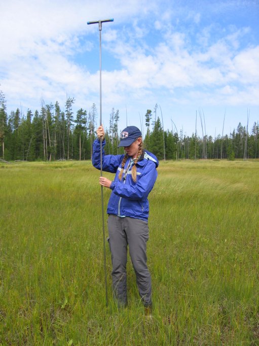 CNHP Blog: New Wetland journal article