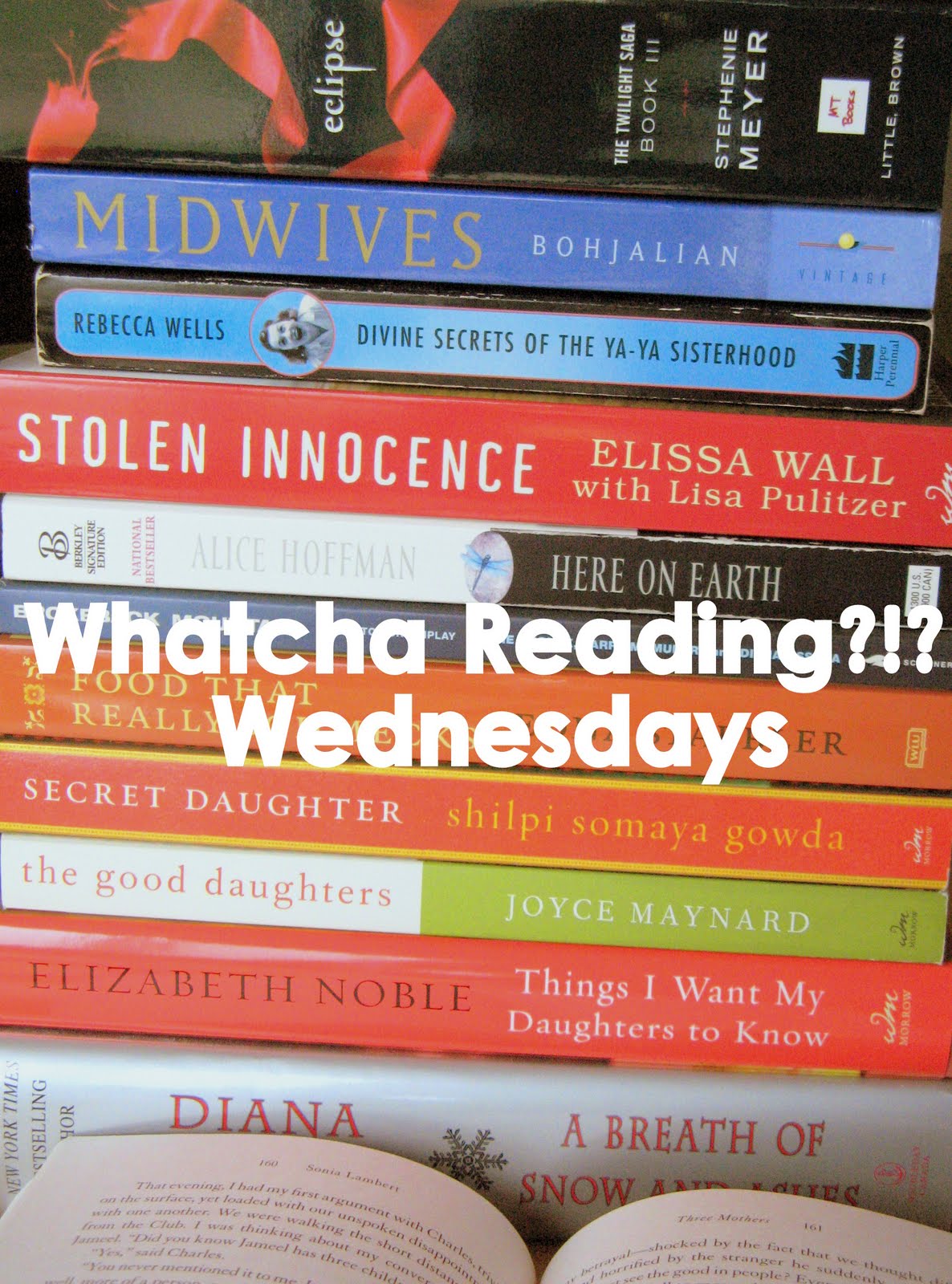 The Baking Bookworm: 'Whatcha Reading?' Wednesday