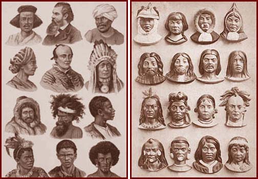 El jinete insomne: La noción de raza a través de la historia (1). Nota ...