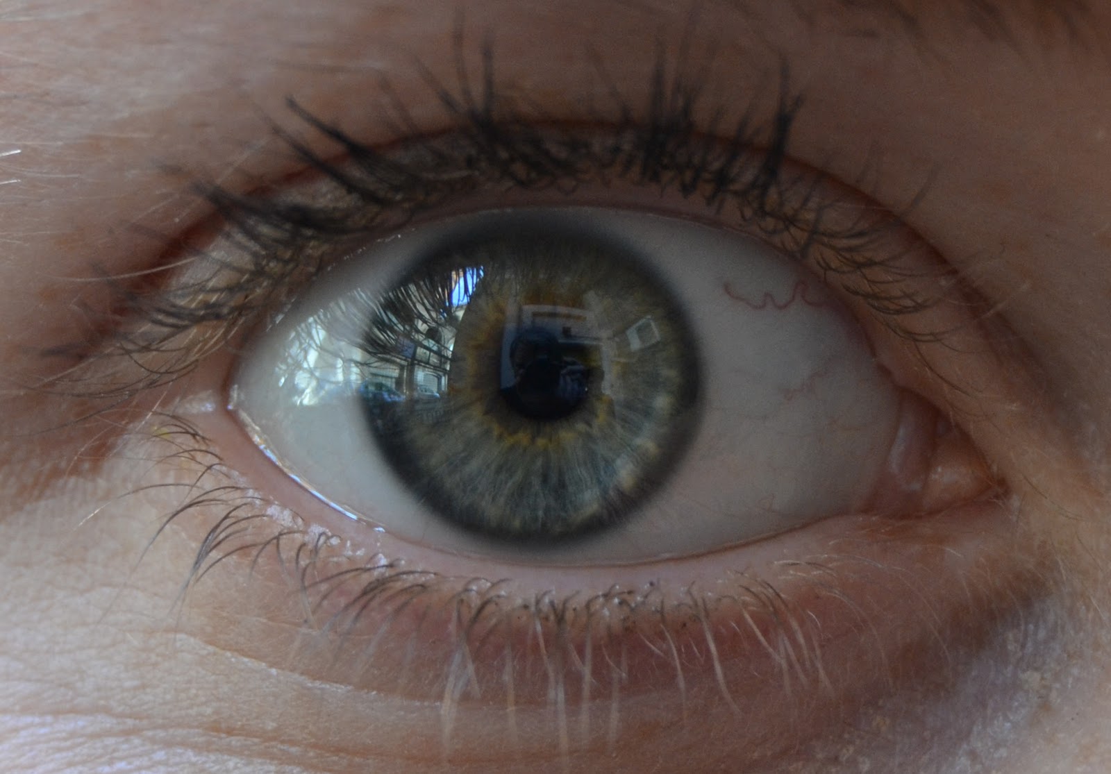 equilibrio dinamico: occhio