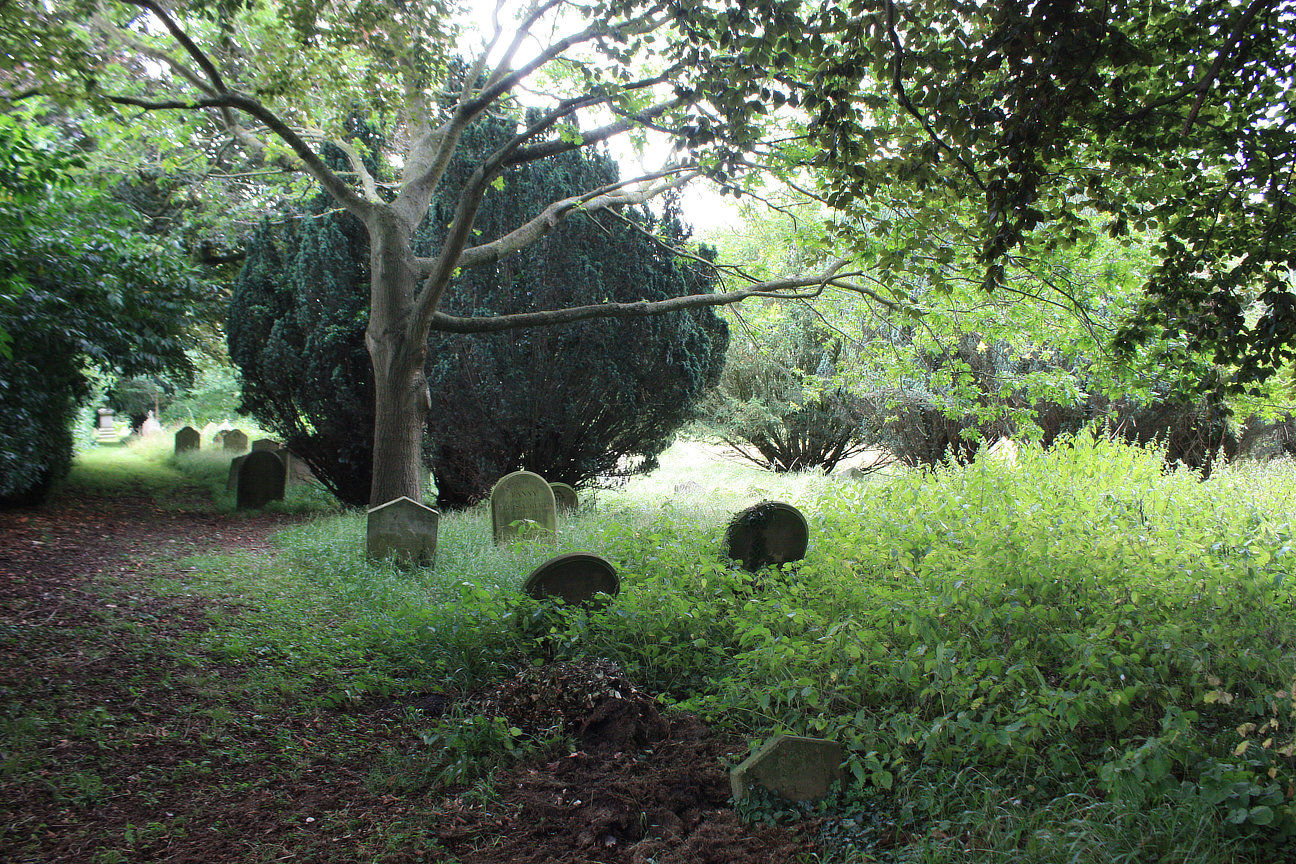 Grave Mistakes: This is the highest ranking female officer we have seen ...