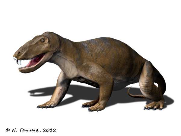 Spinops: Sinophoneus yumenensis