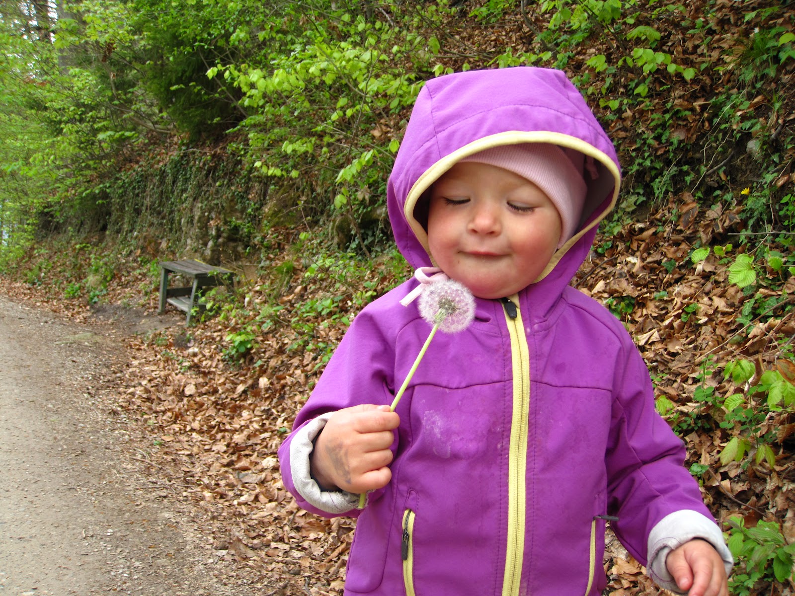 razgRAJAMO OKOLI: Smlednik, Stari grad