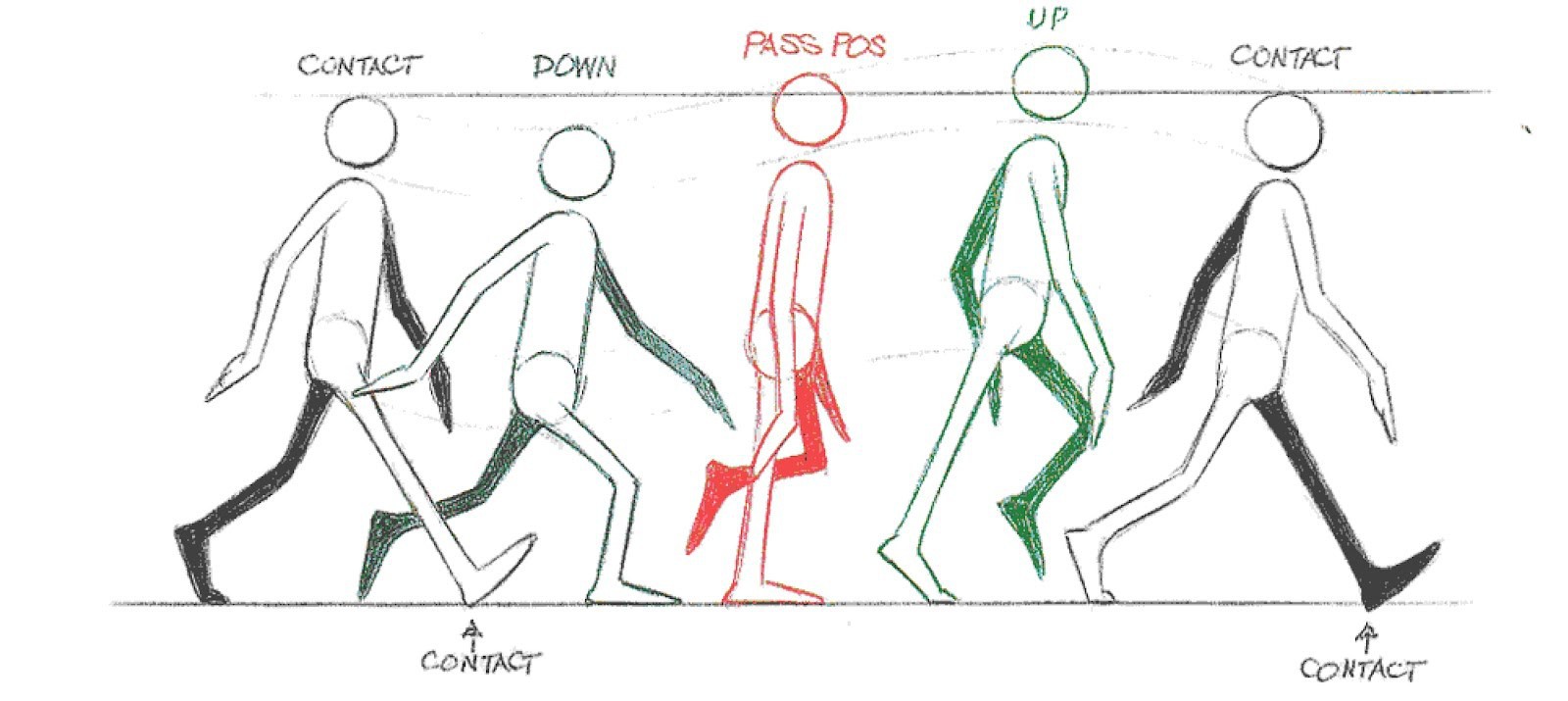 Animación - 2do cuat 2017 - LMA - ICSE - UNTDF: Ciclo de Andar ...
