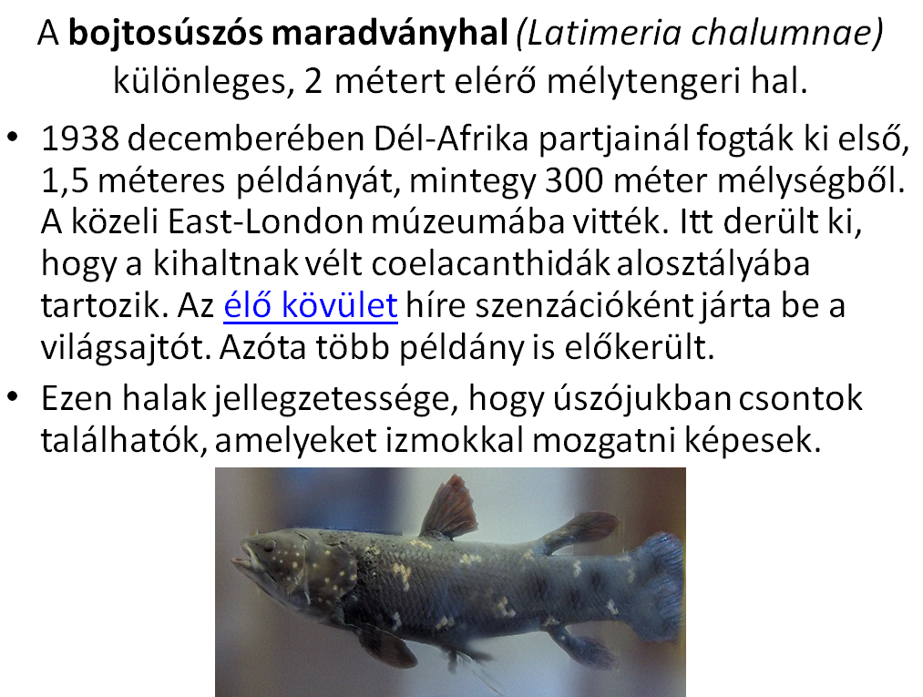 BIO-LOGIA: A HALAK SZAPORODÁSA ÉS FEJLŐDÉSE. A HALAK SOKFÉLESÉGE.