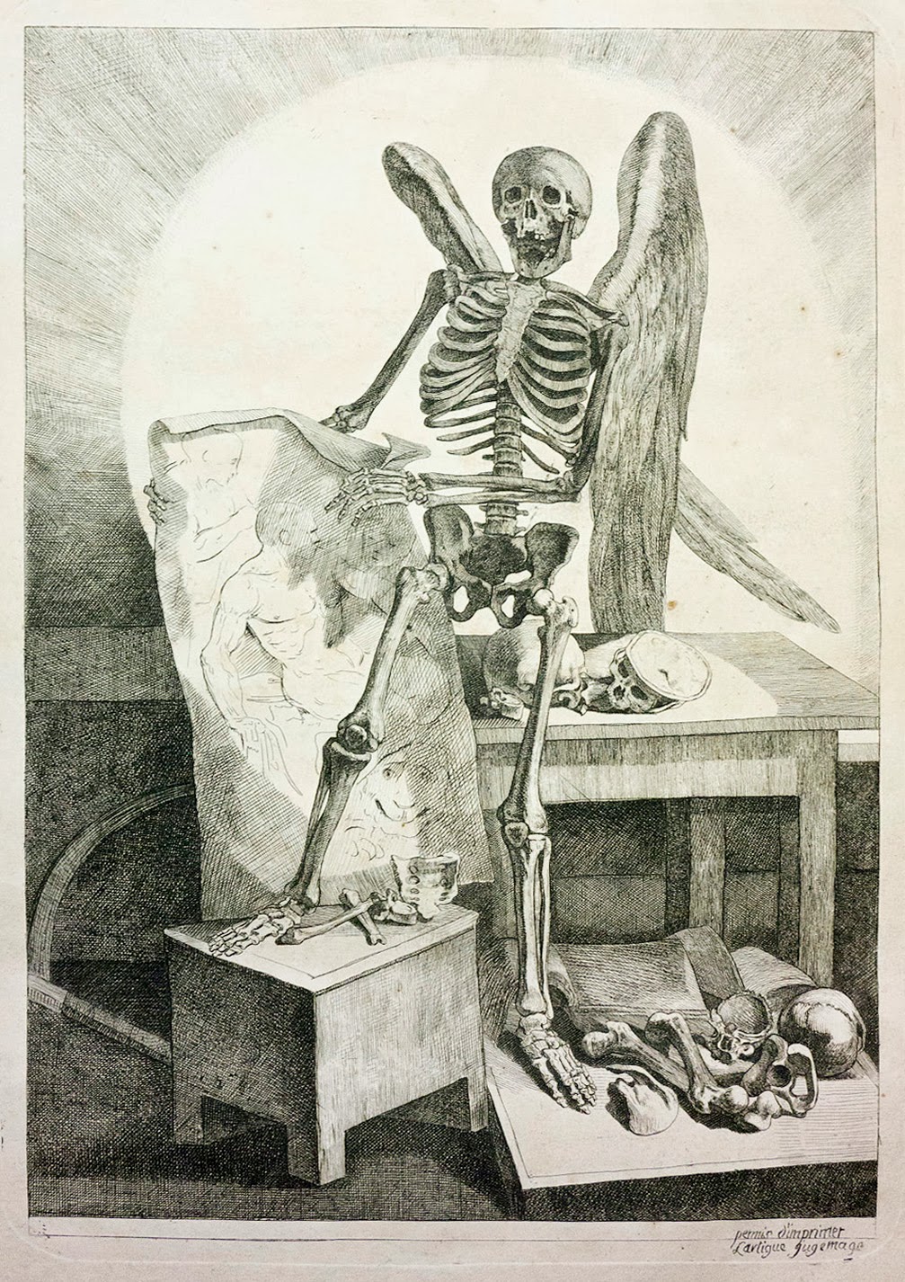 Morbid Anatomy: This Saturday: New York Academy of Medicine Festival of ...