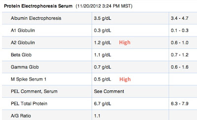 jm's Adventure with Multiple Myeloma: Lab Values from 2nd Opinion Mayo ...