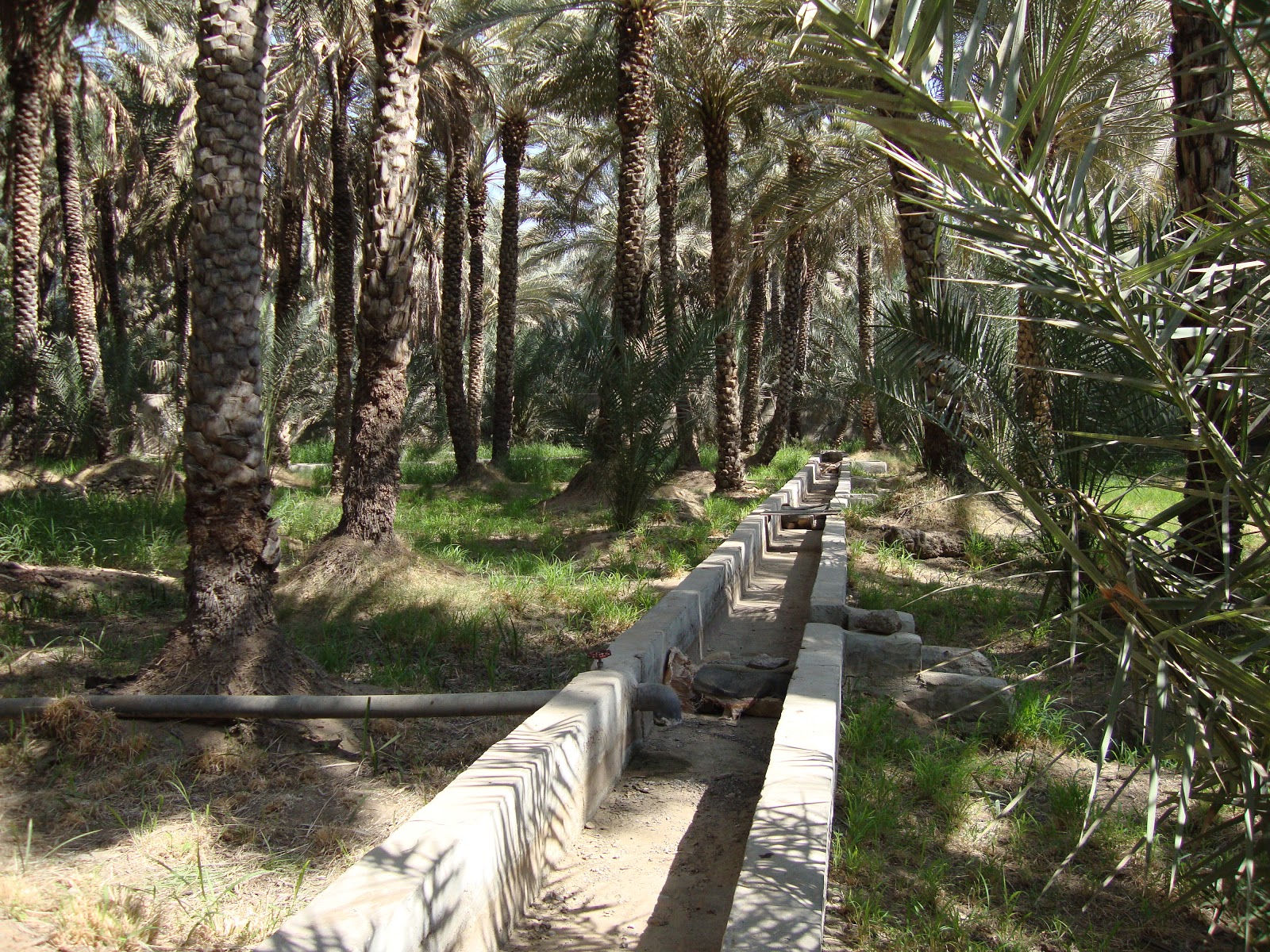 WORLD HERITAGE STAMPS AND POSTCARDS: Visit to Al Ain : UNESCO World ...