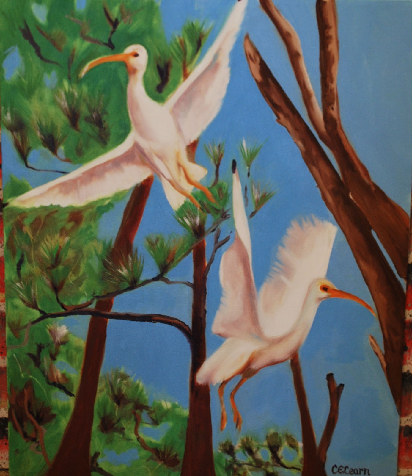 Cynthia E. Learn: This page is for the Birds