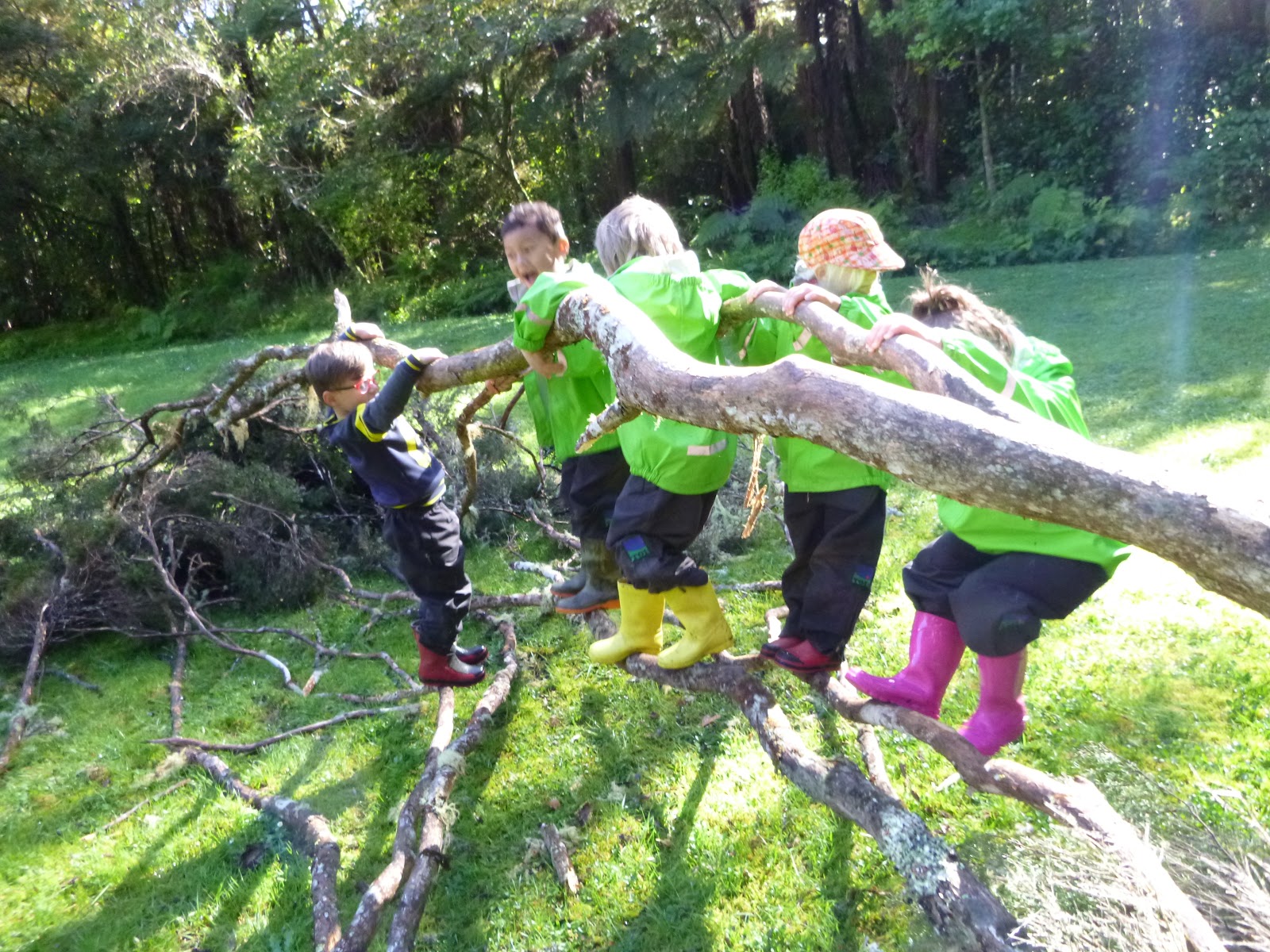 Mairtown Kindergarten: What a surprise discovery on the nature programme