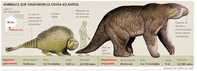 L'angolo della Geologia: Megaterio (Megatherium)