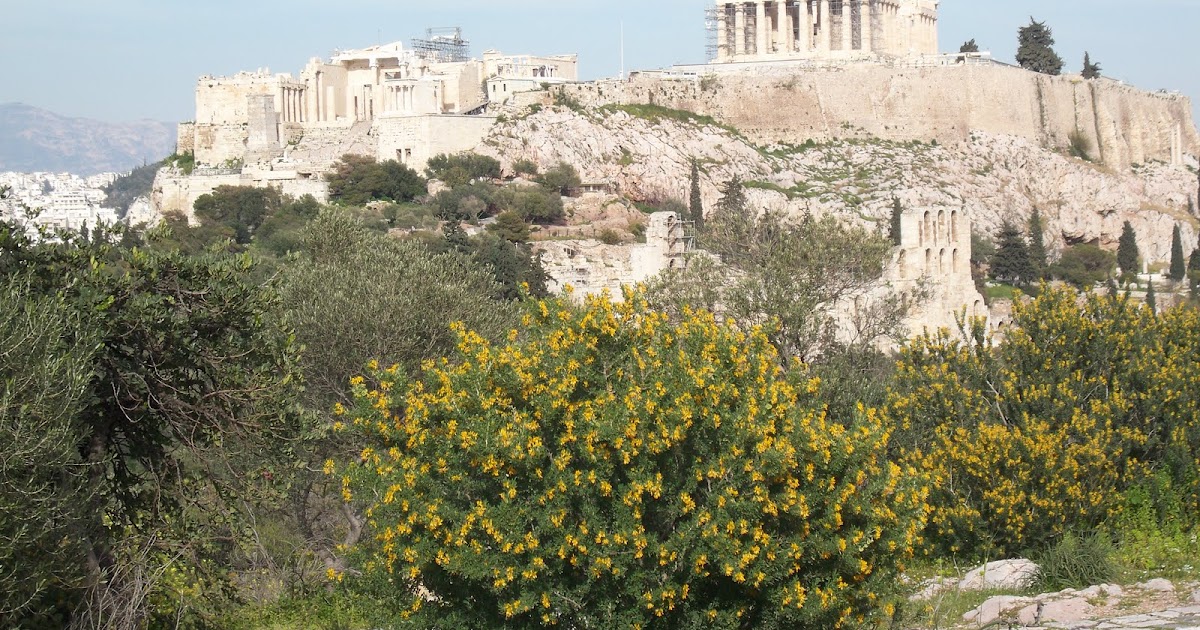ROUMELH.blogspot.com: Νότα Κυμοθόη "25 Μαρτίου 1821-25 Μαρτίου 2009"