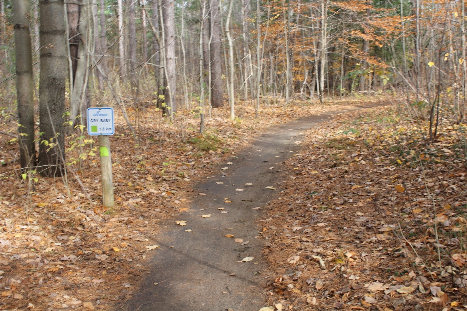 Shawn's Bicycle Adventures: Mountain Biking in the York Regional Forest ...
