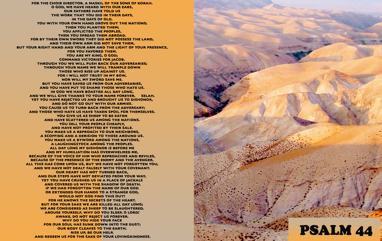Prayer and Bible Expo: Psalm 44
