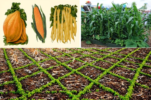 NephiCode: So Where is the Land of Promise? – Part II