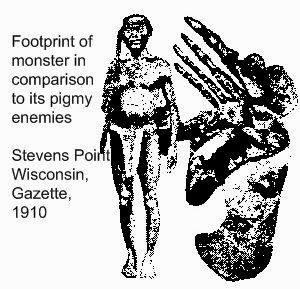 Phantoms and Monsters - Real Eyewitness Cryptid Encounter Reports