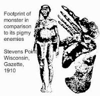 Live Pterosaurs in America: Not extinct, flying creatures of ...