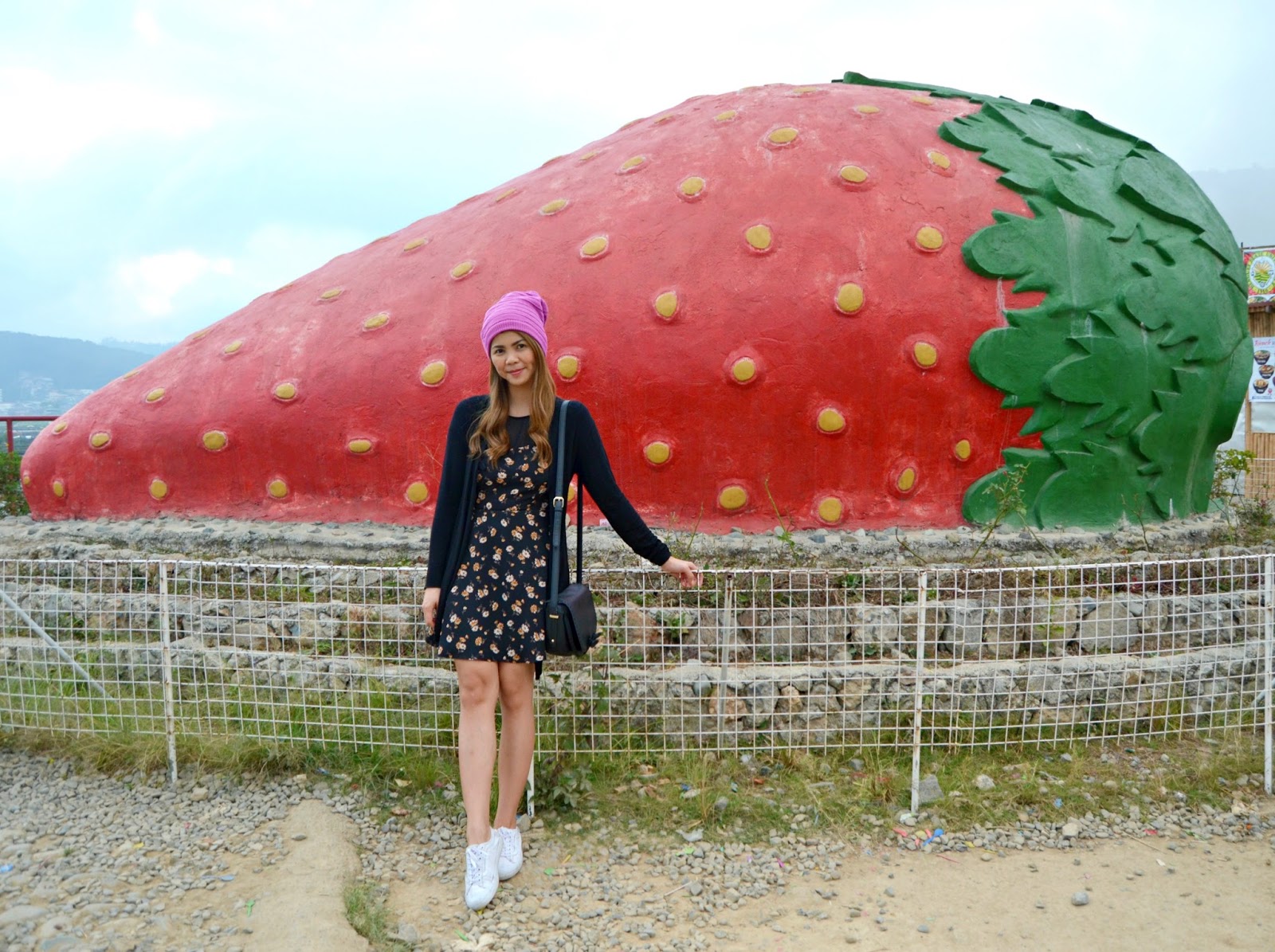 The Bandwagon Chic: Strawberry Picking Experience in Benguet + Foods to ...