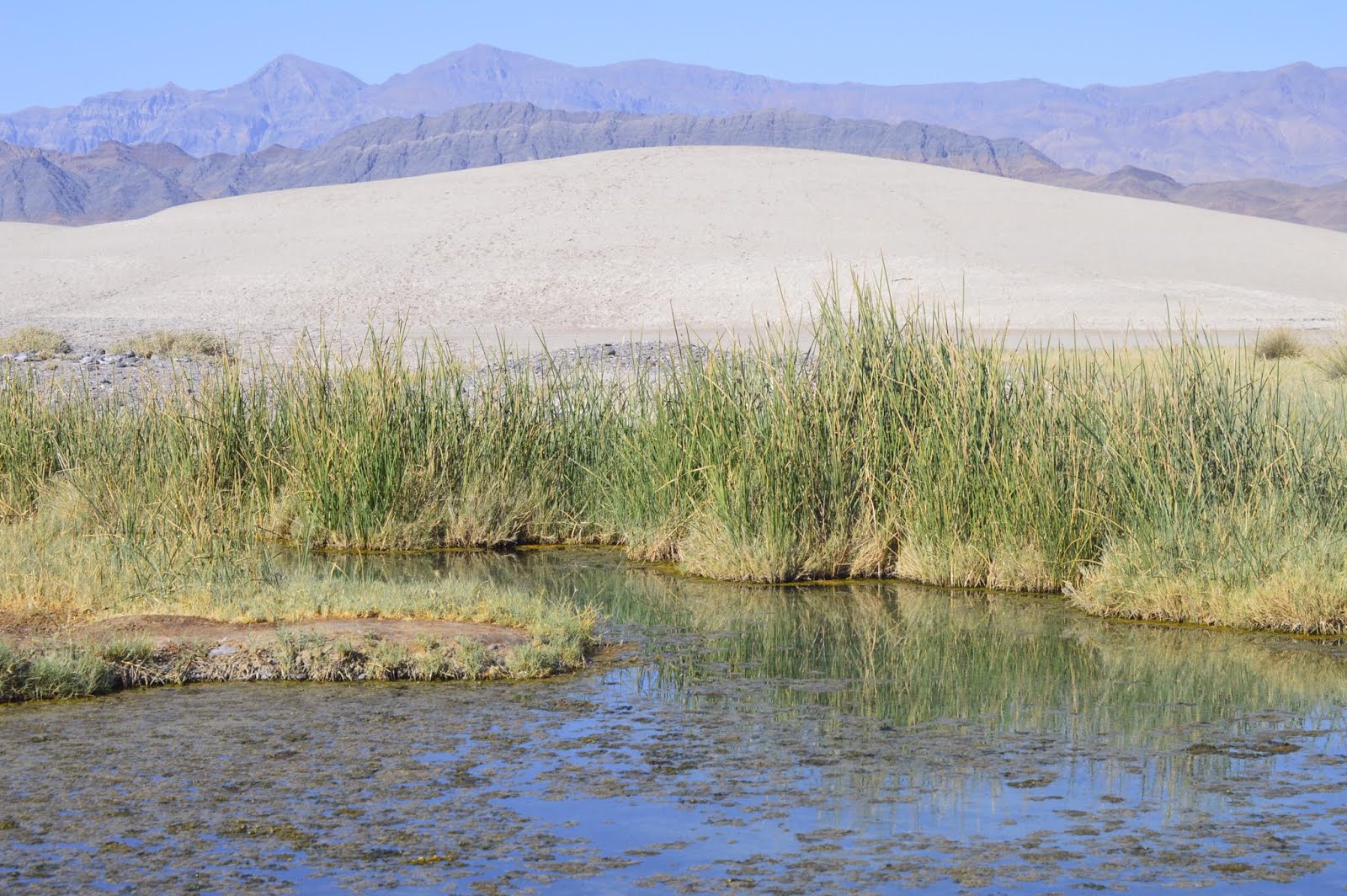 Tecopa - Virtual Mirage