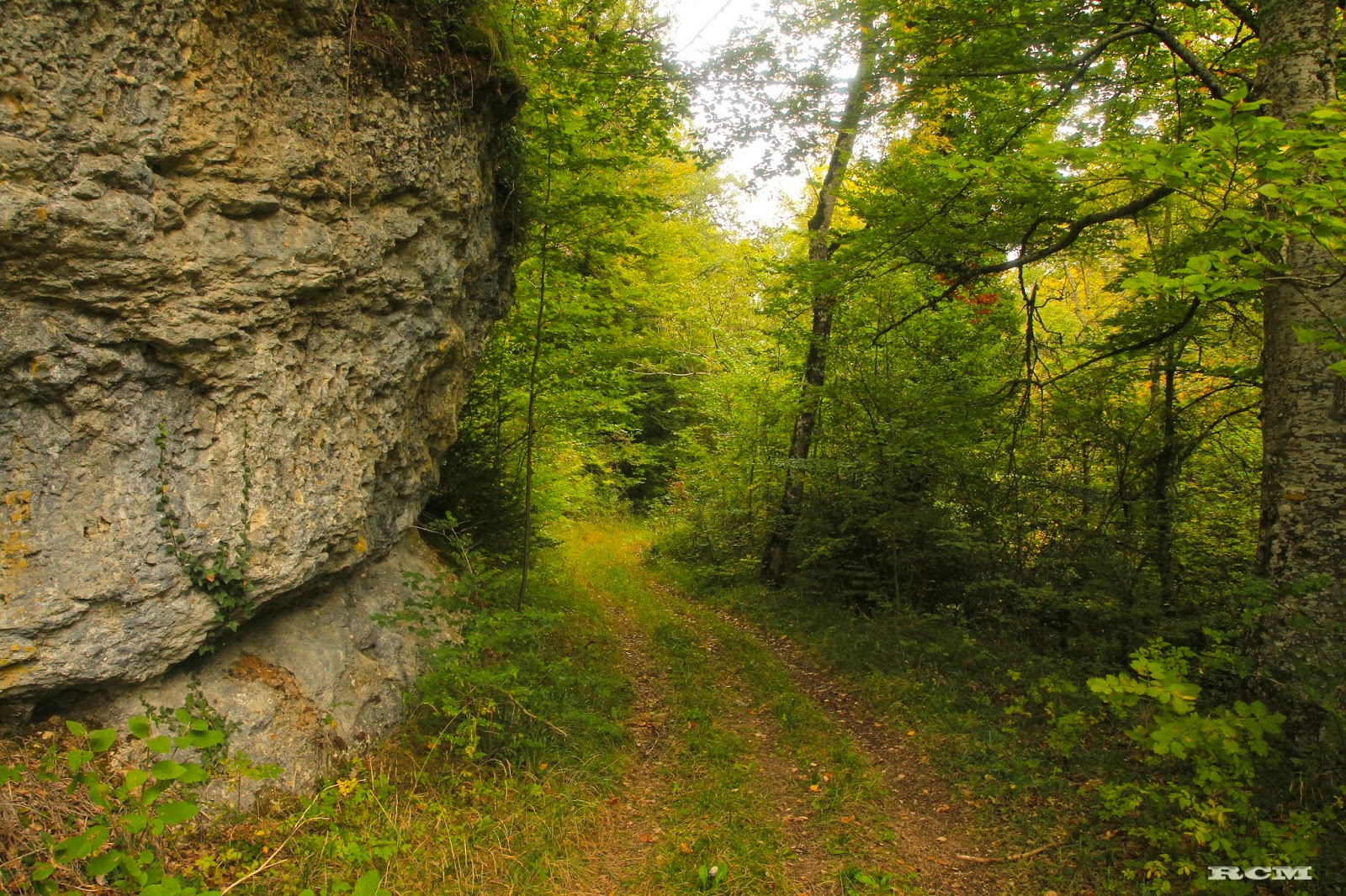 PISAKAMPAS: DE NUEVO EN IGOROIN: MUSITU-ROITEGI-STA. TEODOSIA-BITIGARRA ...