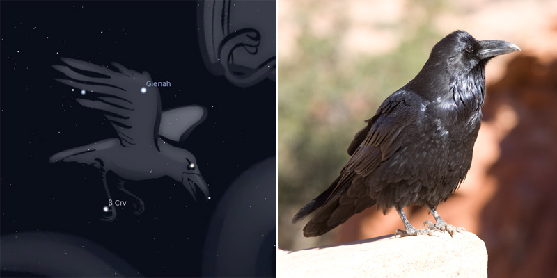 Birding Is Fun!: Birds in the Sky