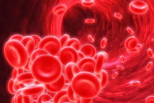 Anemia: Types, Diagnosis and Treatment
