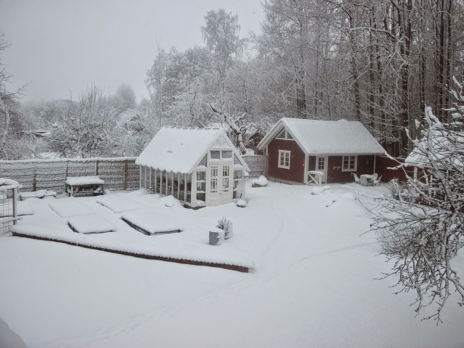 Steve reflekterar: Vinterbilder