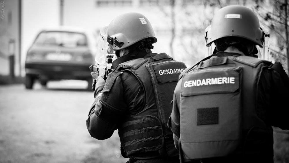 Gsg9 1/87 Unité spéciale: PSIG Sabre