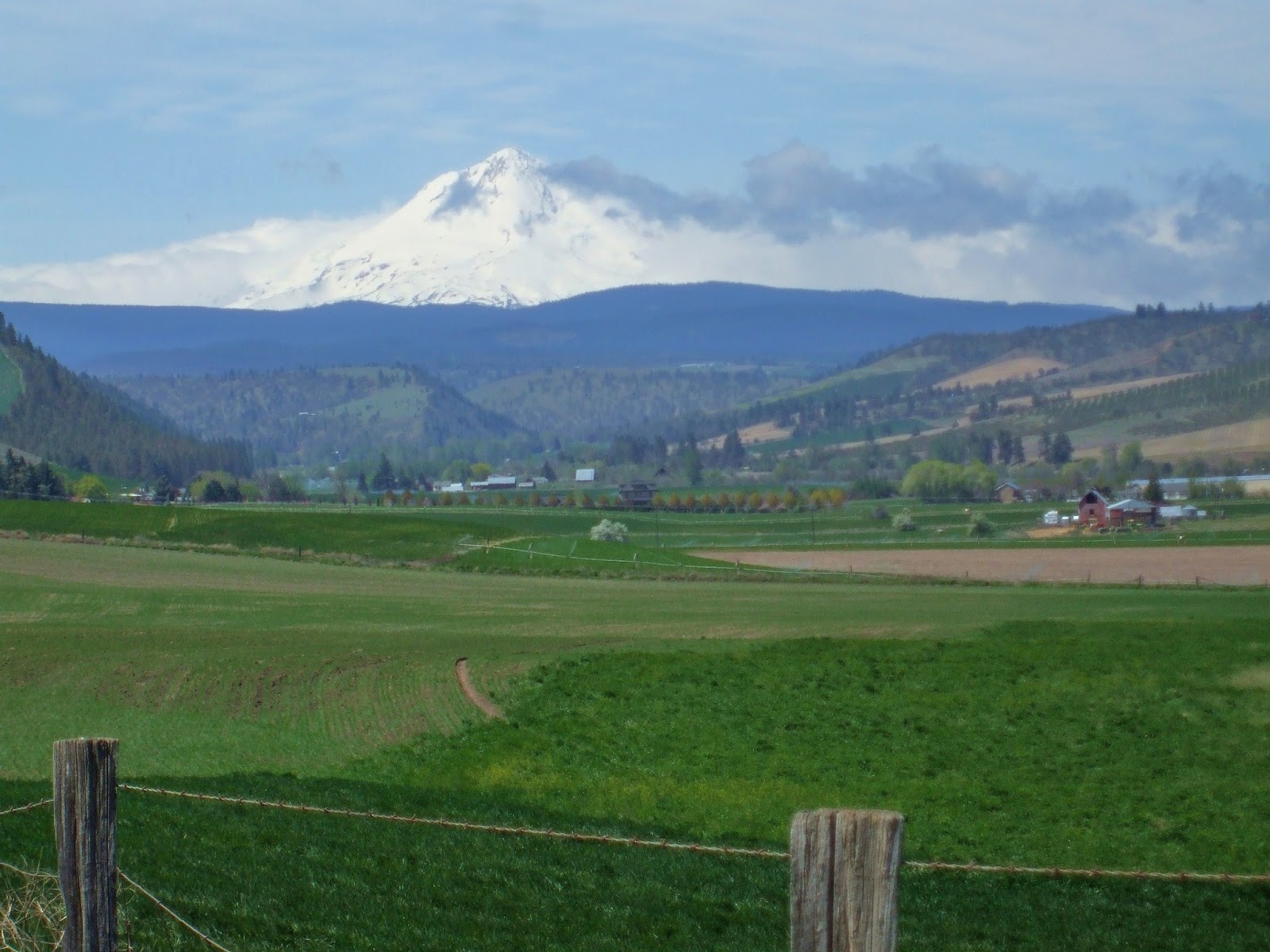 Bowmans on the Road: Azure Standard