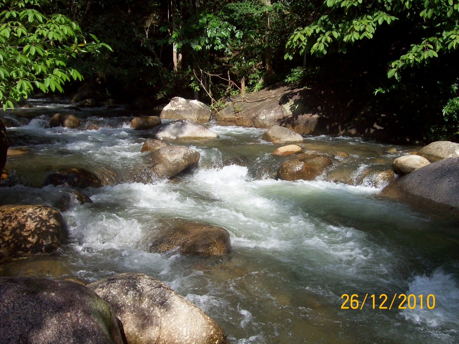 CLUELESS: Beautiful Kalumpang