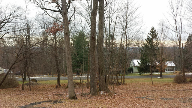 The Matt Ward History Experience : Middlebrook Encampment