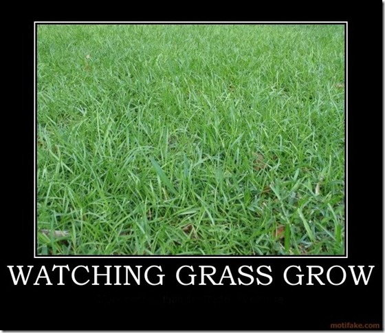 An Opinion On Sports: Just Like Watching the Grass Grow...