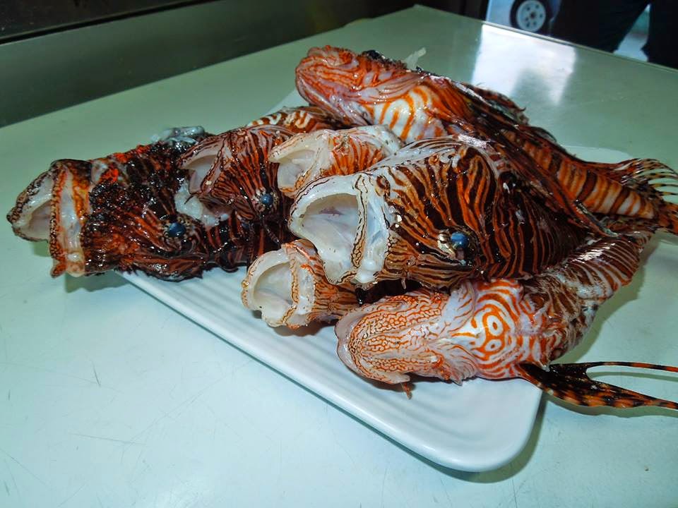 Cayman Serves Lion Fish!