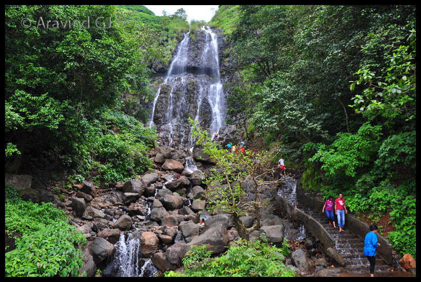 Treks and travels: Amboli