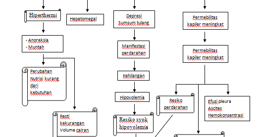 Pathway DHF (Dengue Haemorhagic Fever)
