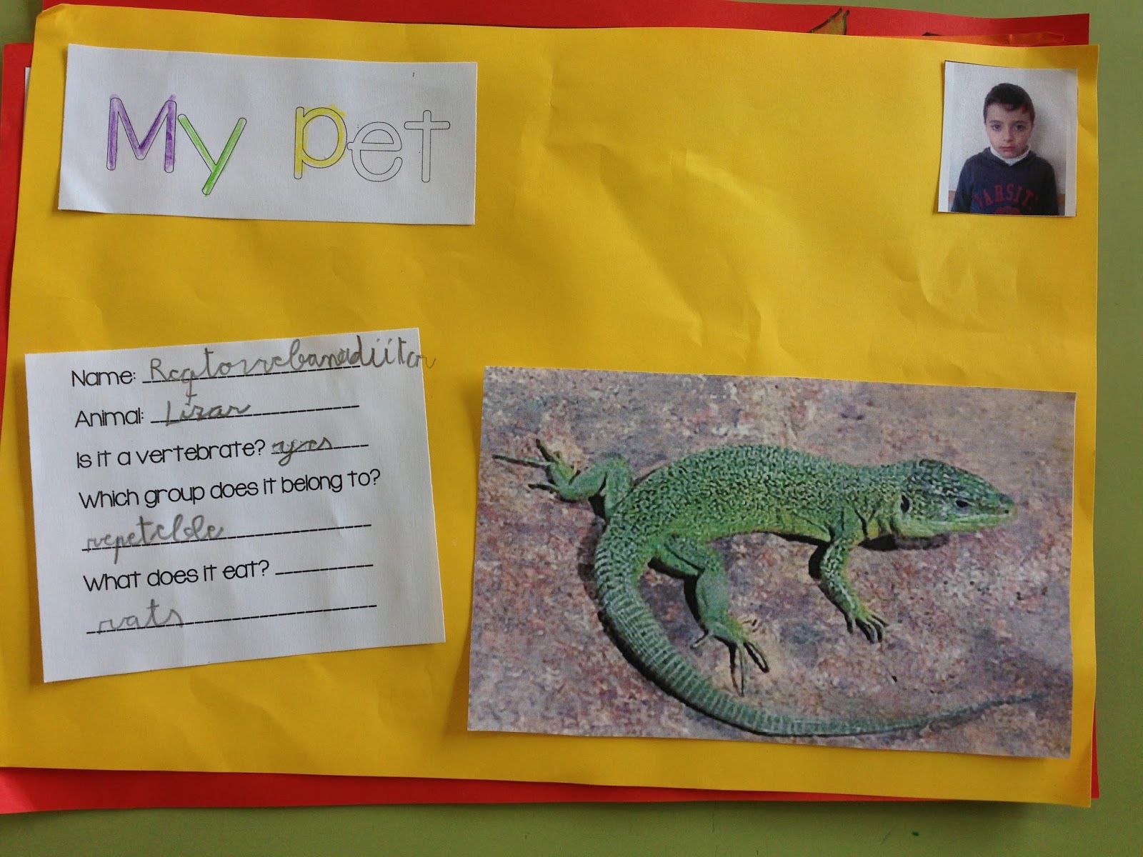 SCIENCE IN THE SCHOOL: My Pet