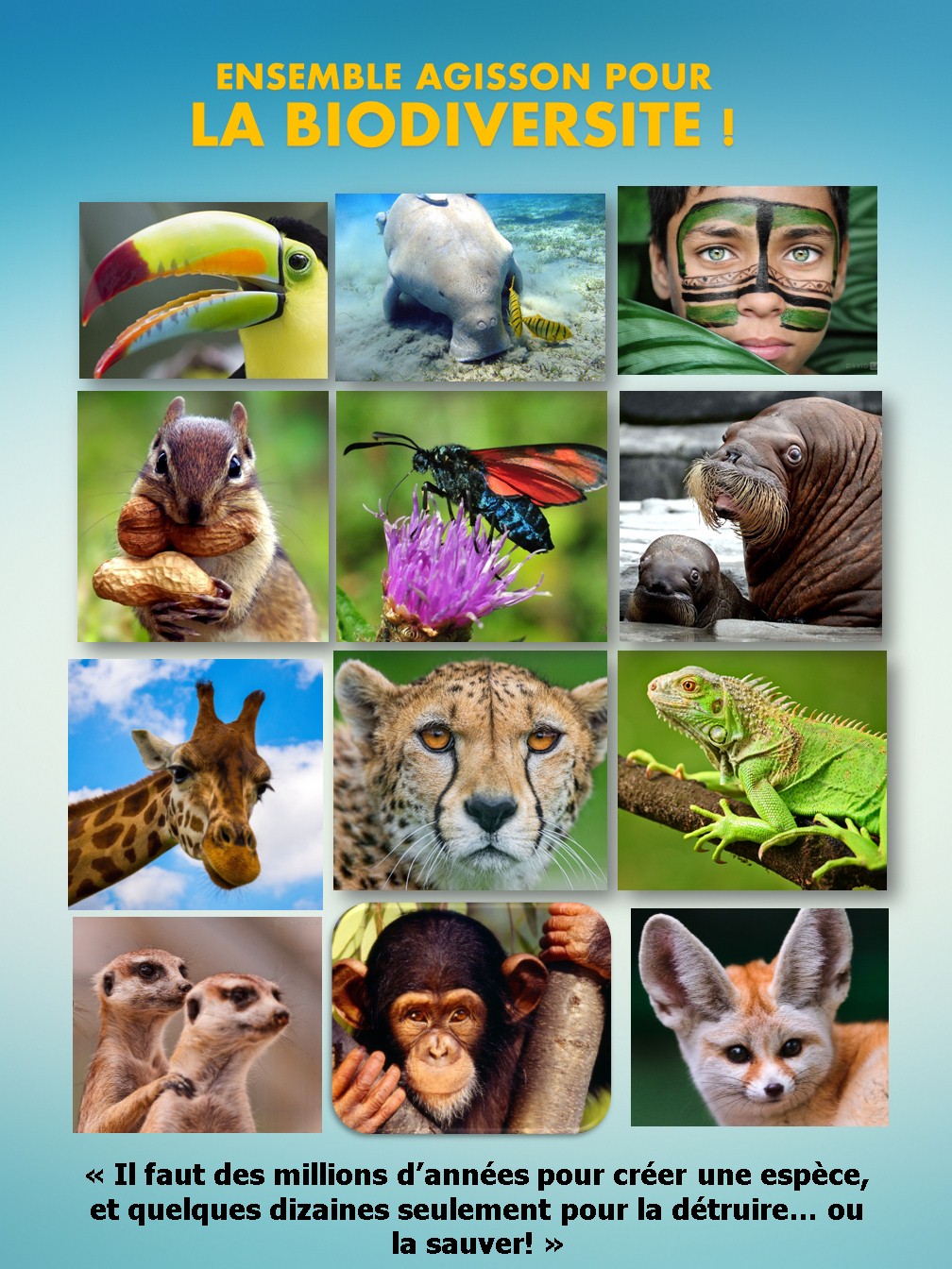 Affiche Protection Des Animaux Gratuit