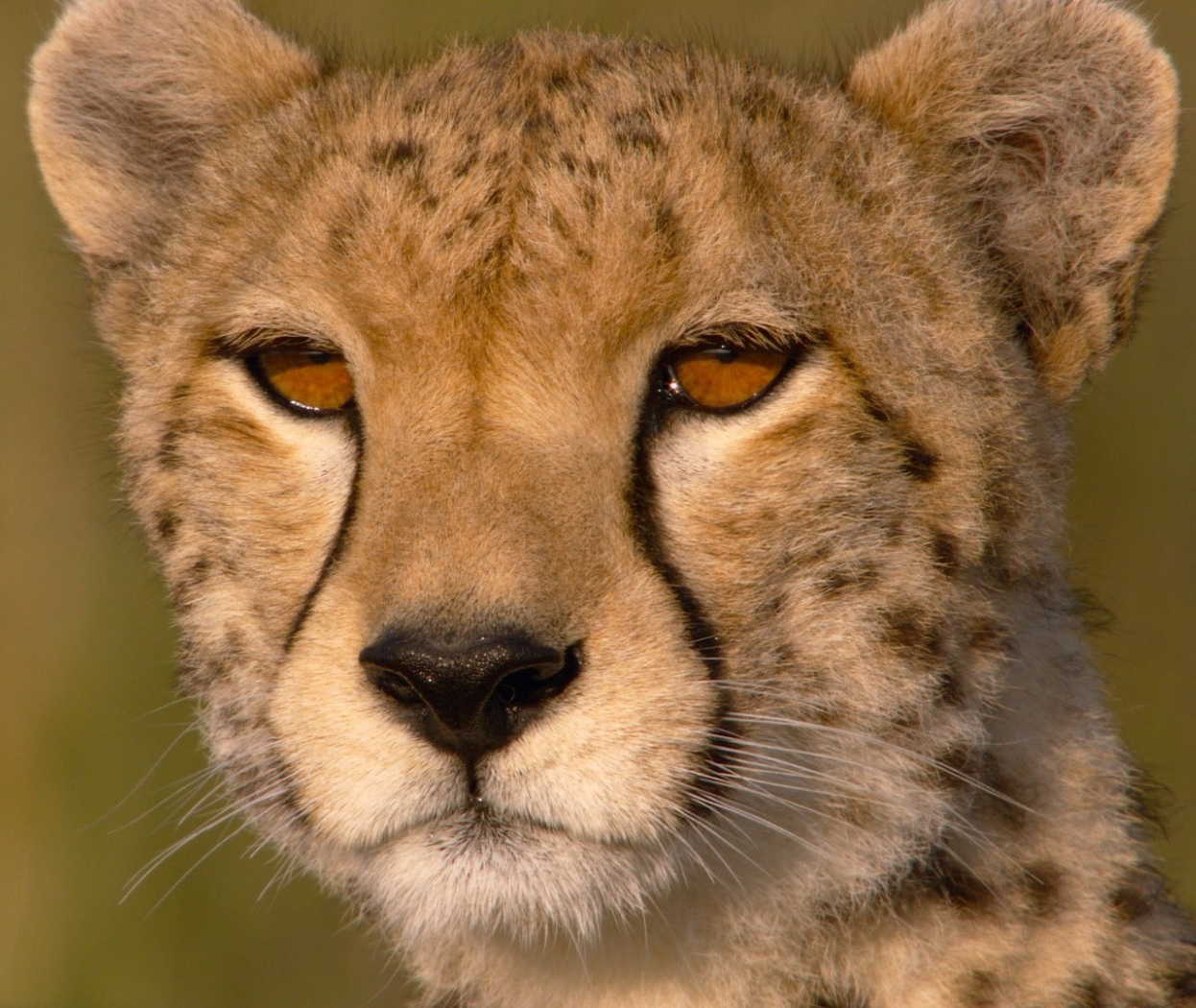 Every Day Is Like Wednesday: September 2016