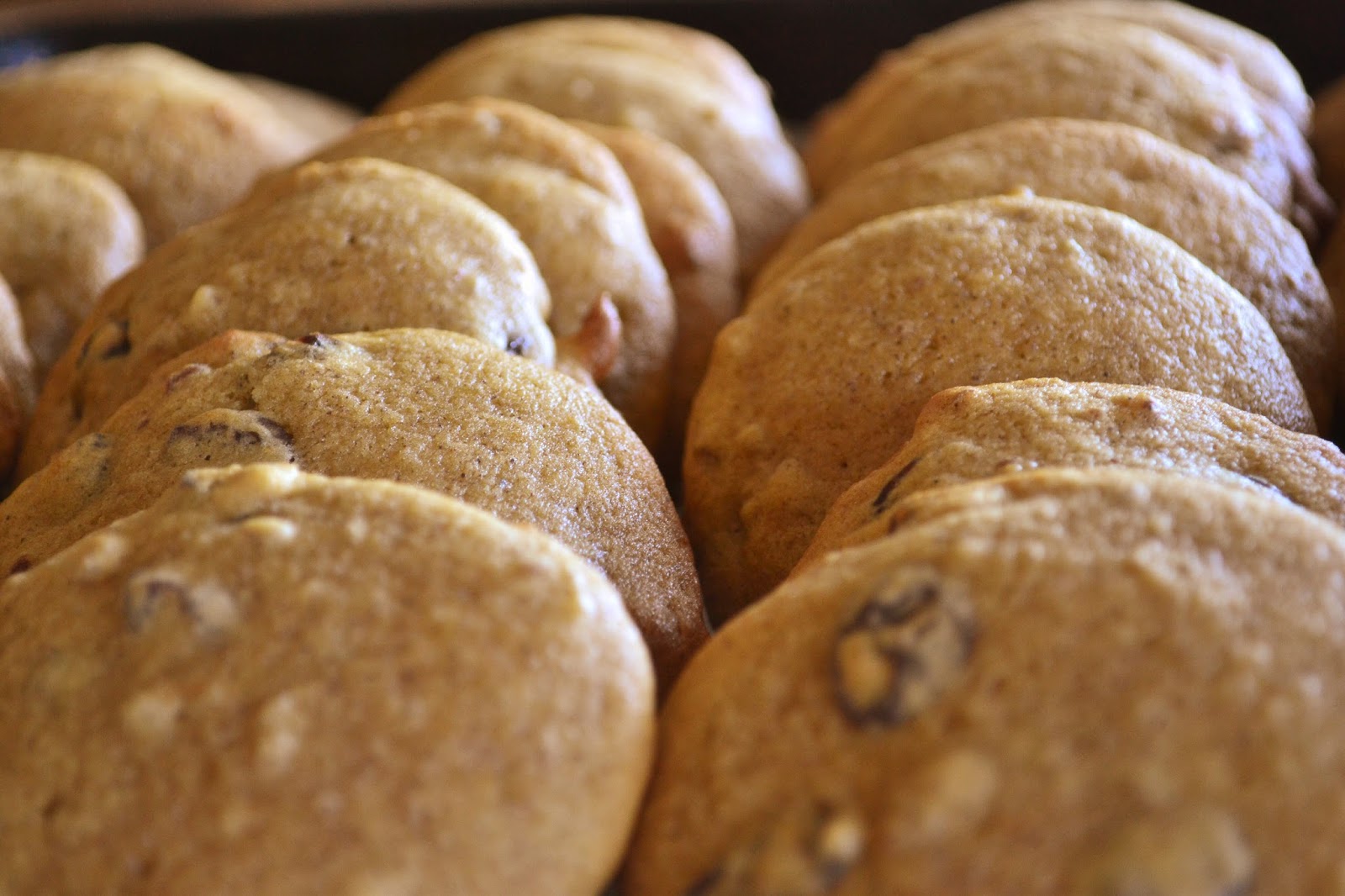 Cast Iron Stew: Butternut Squash Cookies