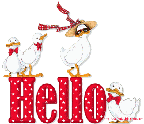 TASHNIGI: Hi & Hello GIF