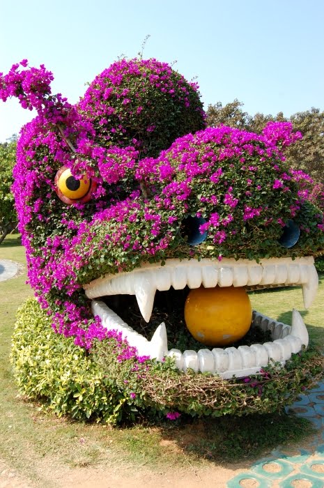 Camy World: Dragon Flower